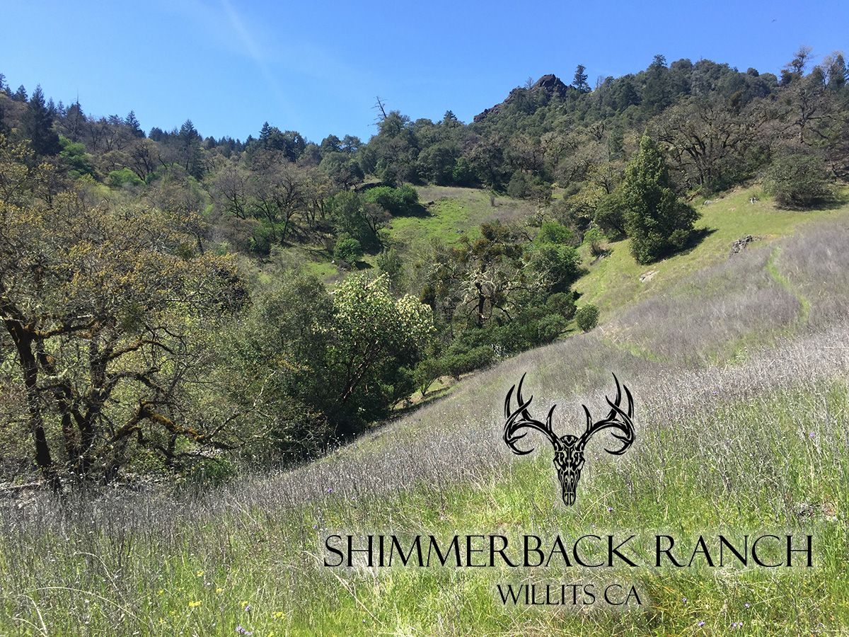 Shimmerback Ranch - About